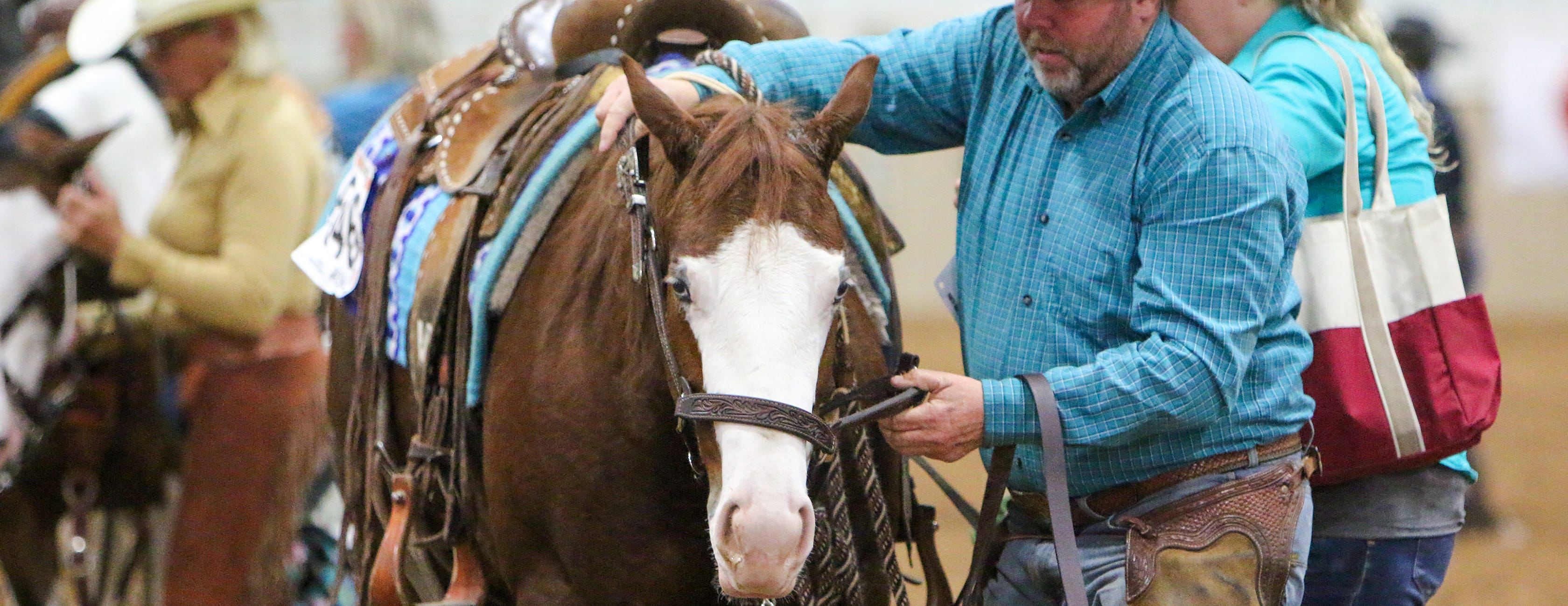 History of the Breed