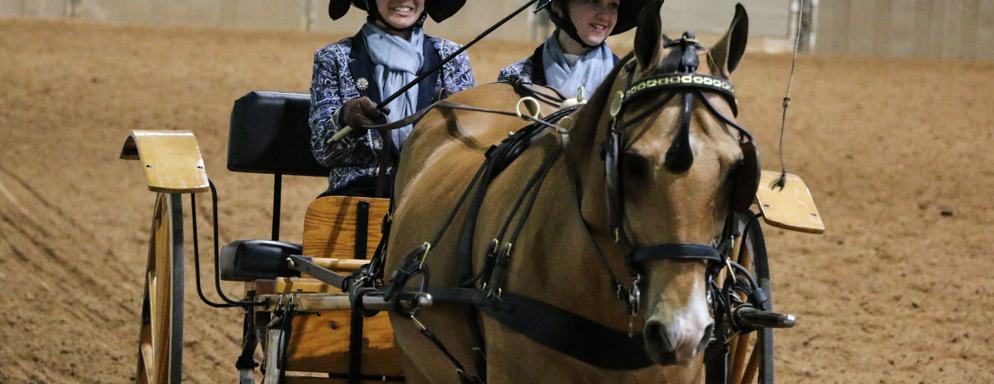 Your Representatives